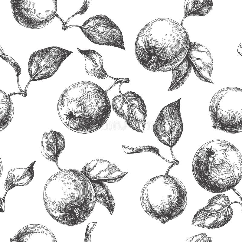 Vector Seamless Pattern with Apples with Leaves Isolated on White ...