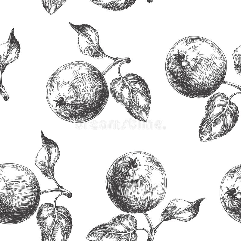 Vector Seamless Pattern with Apples with Leaves Isolated on White ...
