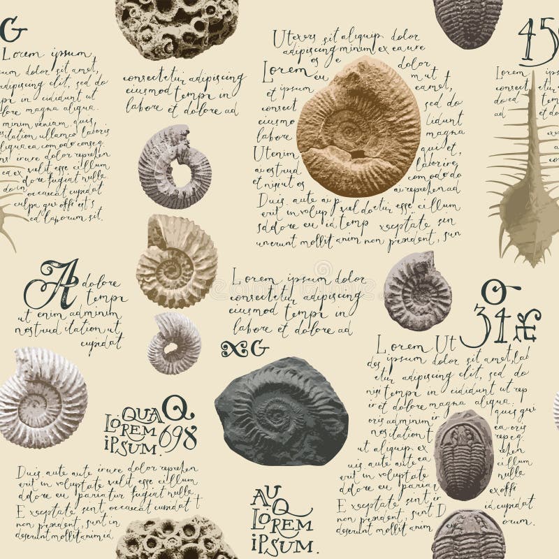 Seamless Pattern with Ancient Ammonite Shells and Trilobites Stock ...