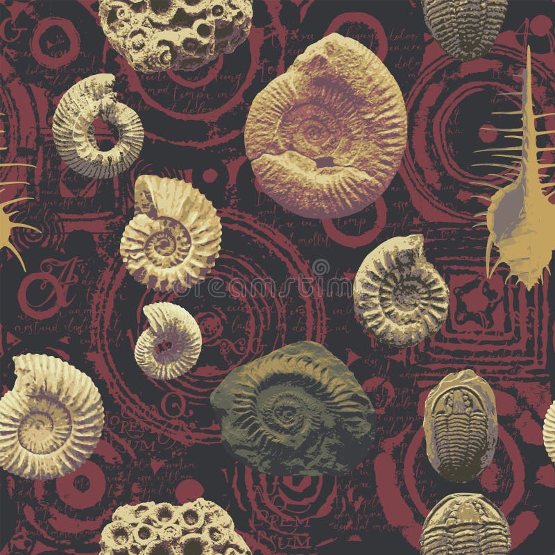 Seamless Pattern Background with Photo of Ancient Ammonite Shells Stock ...
