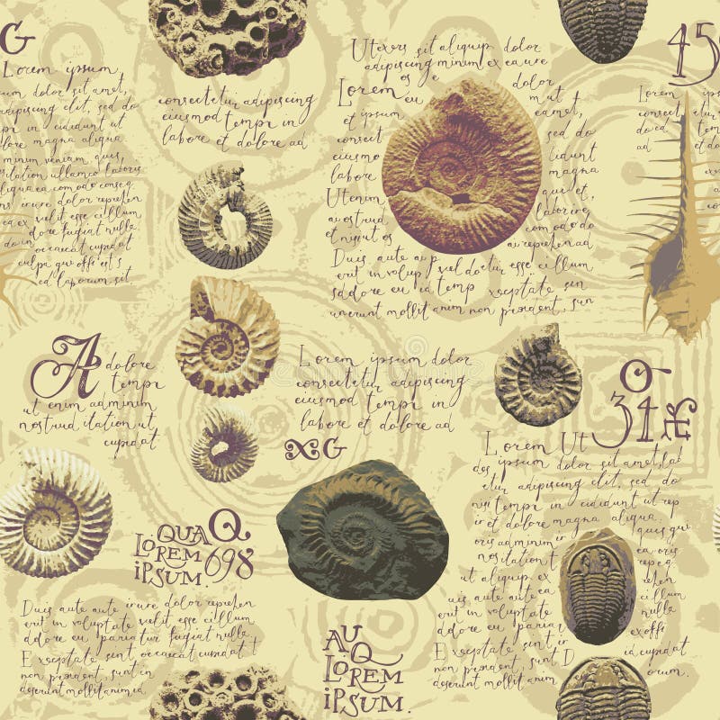 Seamless Pattern with Ancient Ammonite Shells and Trilobites Stock ...