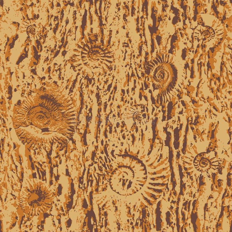 Background Sea Shell Surface Texture Stock Illustrations – 742 ...