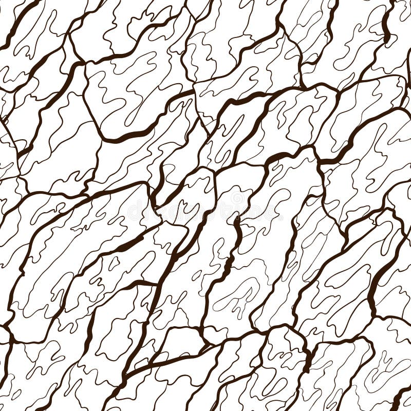 Vector Seamless Pattern of Bark Texture. Wood Natural Structure Stock ...