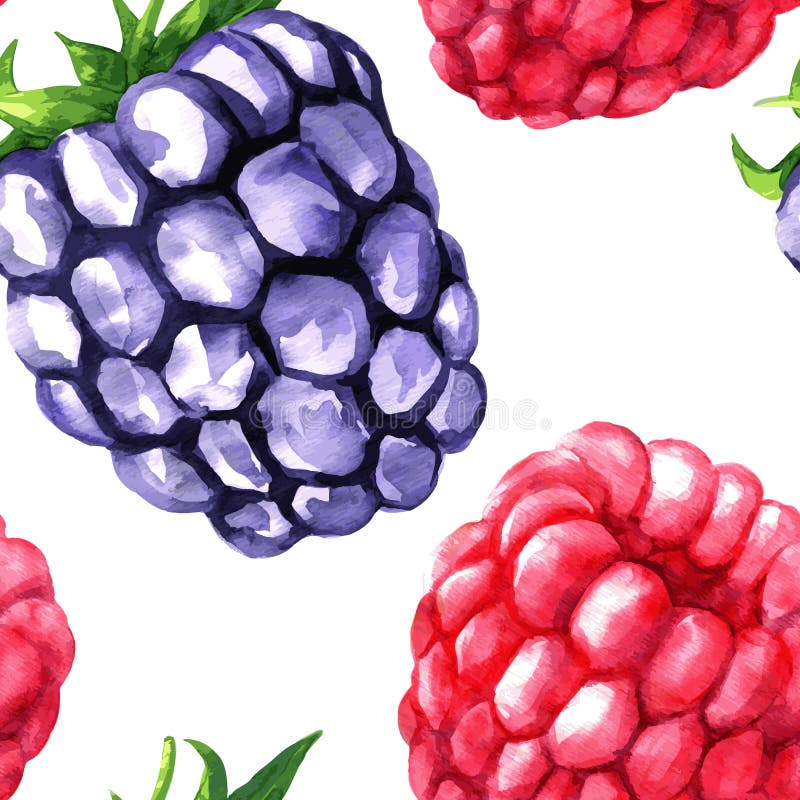 Vector Seamless Pattern with Berries Stock Vector - Illustration of ...