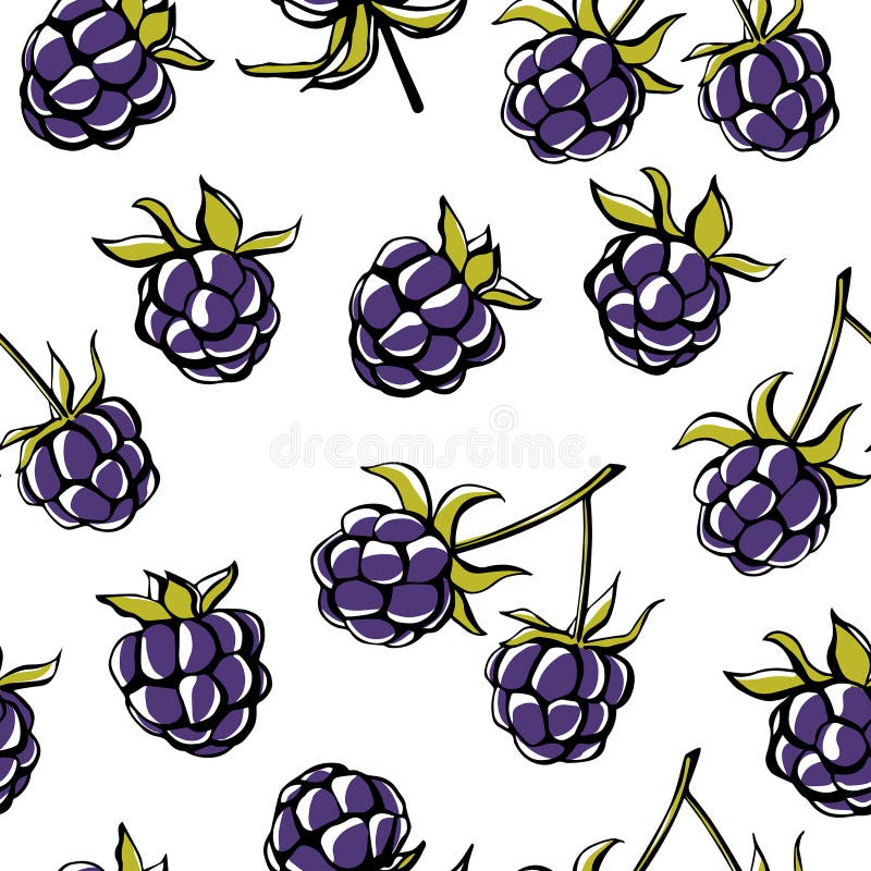 Vector Seamless Pattern with Blackberry Stock Vector - Illustration of ...