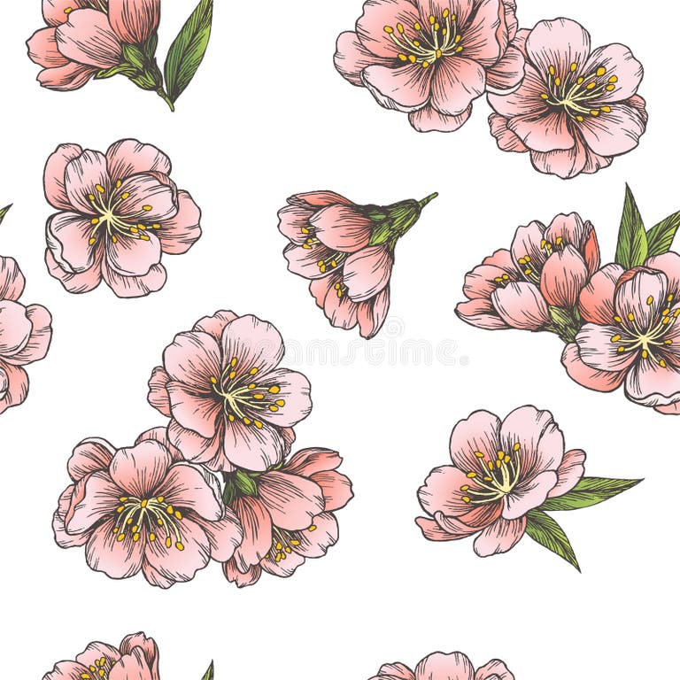 Almond Tree Vector Stock Illustrations – 2,497 Almond Tree Vector Stock ...