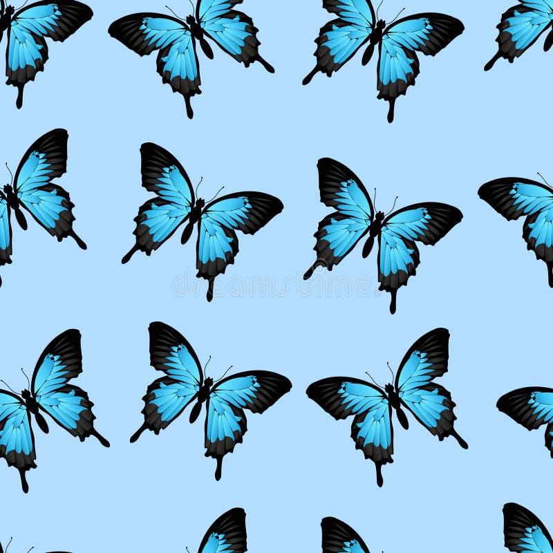 Vector Seamless Pattern Blue Butterfly, Natural Pattern, Fauna Pattern ...
