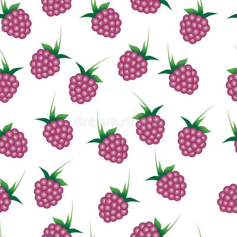 Vector Seamless Pattern with Bright Pink Raspberries Stock Vector ...