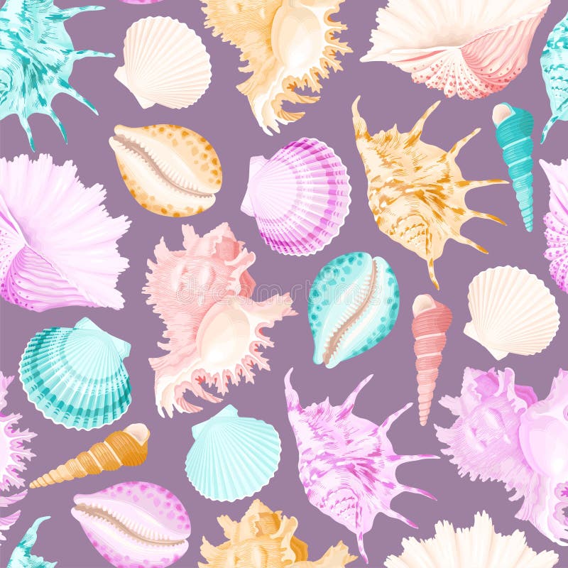 Varicolored Shells Stock Illustrations – 7 Varicolored Shells Stock ...