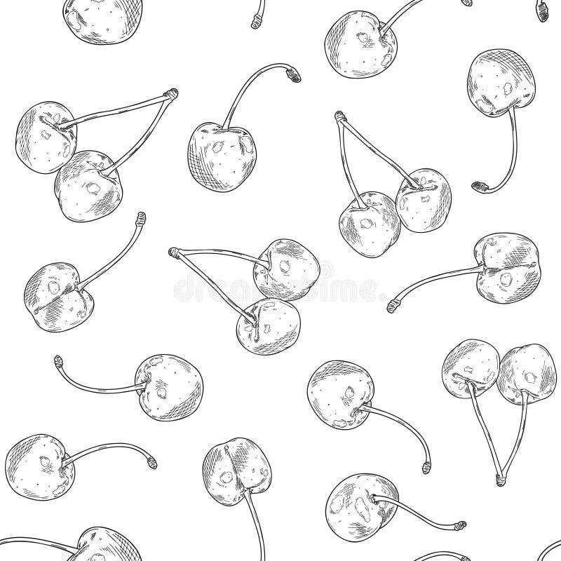Cherries Outline Stock Illustrations – 1,371 Cherries Outline Stock ...