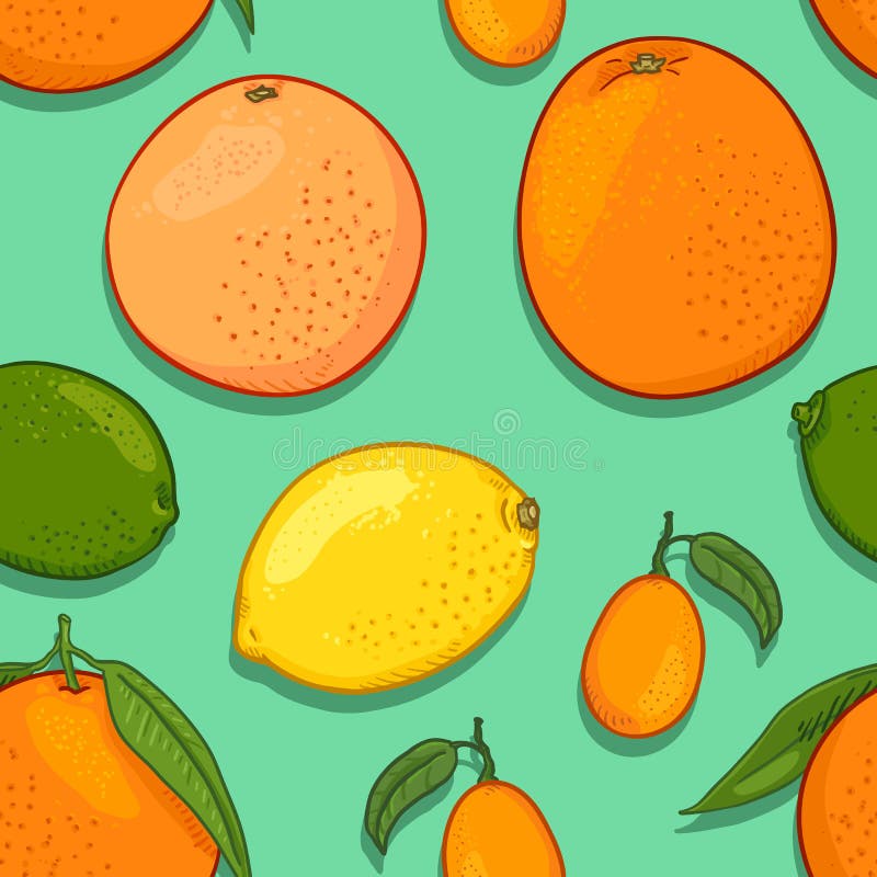 Vector Seamless Pattern of Citrus Fruits Stock Vector - Illustration of ...