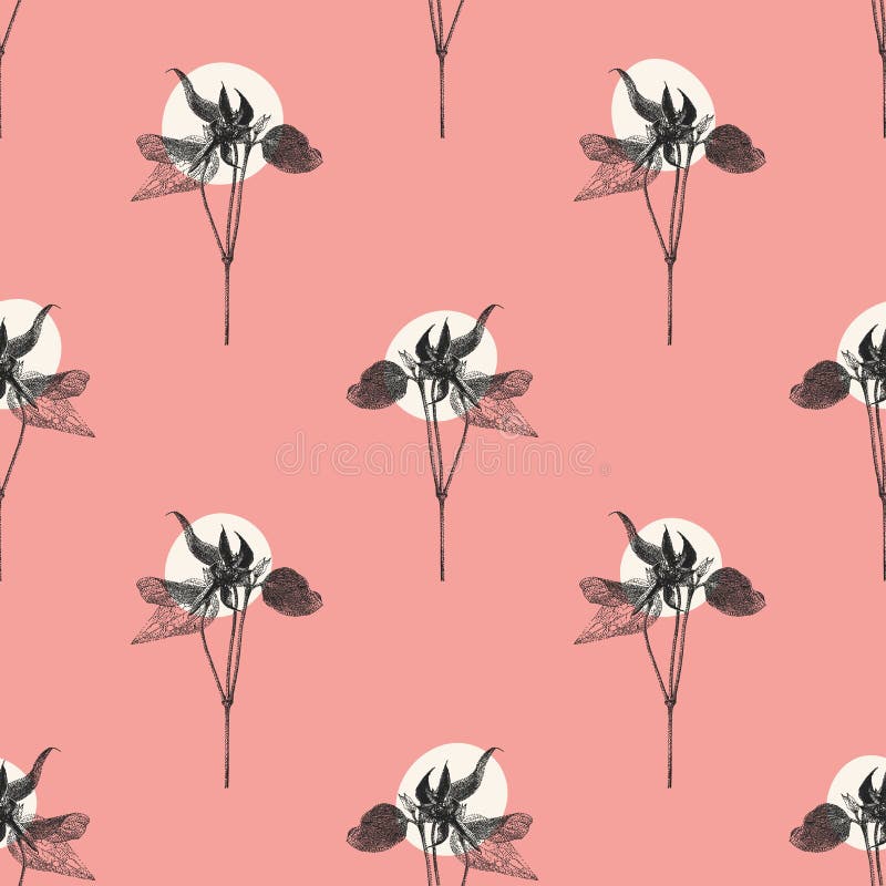 Vector Seamless Pattern with Clematis Flower Isolated on Pink ...