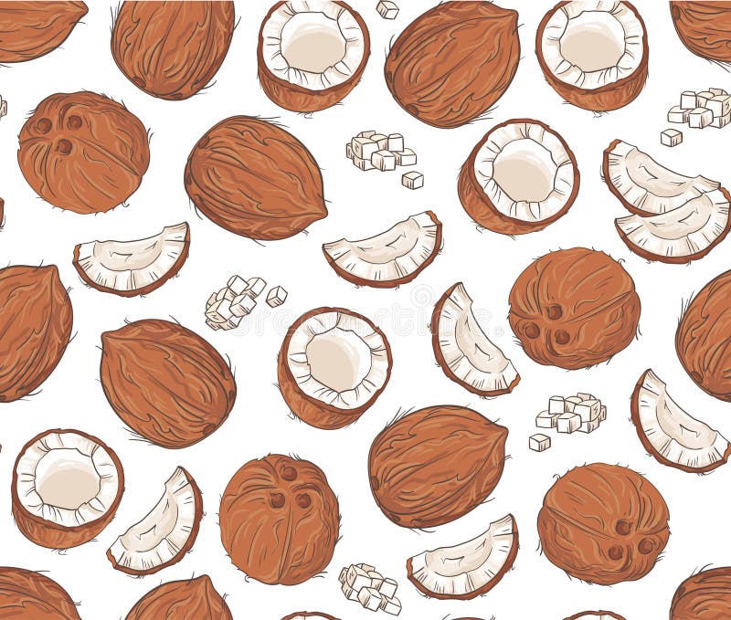 Vector Seamless Pattern with Coconuts. Stock Vector - Illustration of ...
