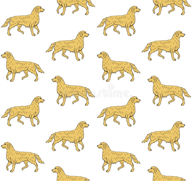 Labrador Retriever Hunting Sketch Stock Illustrations – 140 Labrador ...