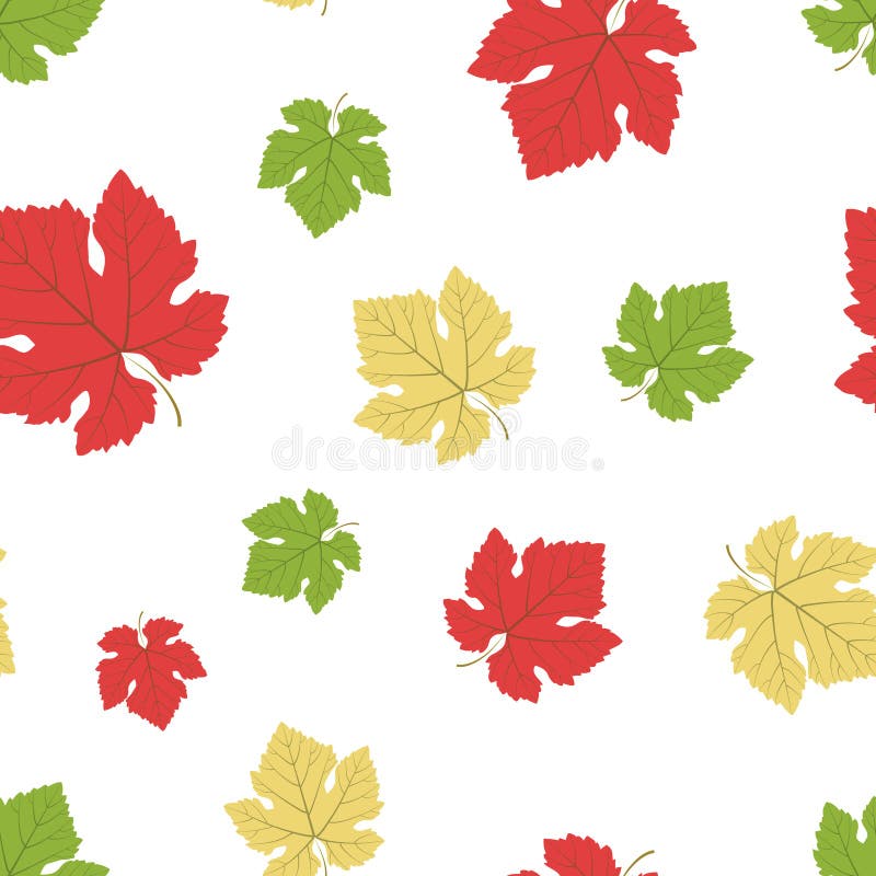 Vector Seamless Pattern of Colorful Grape Leaves on a White Background ...