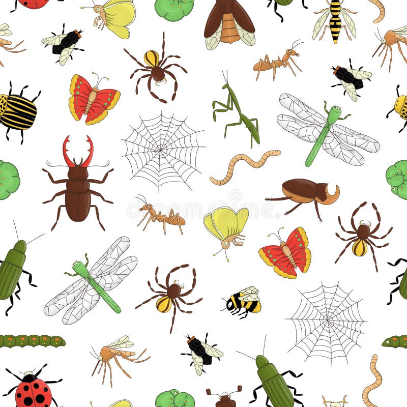 Colorful Insects Icons Isolated Wildlife Wing Detail Summer Worm ...