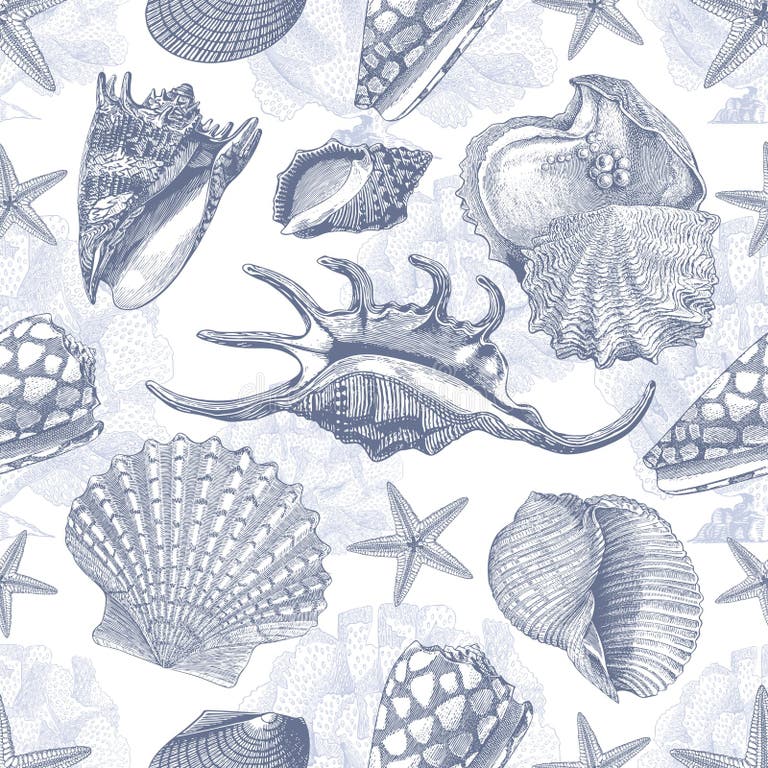 Oyster Shells Pattern Stock Illustrations – 857 Oyster Shells Pattern ...