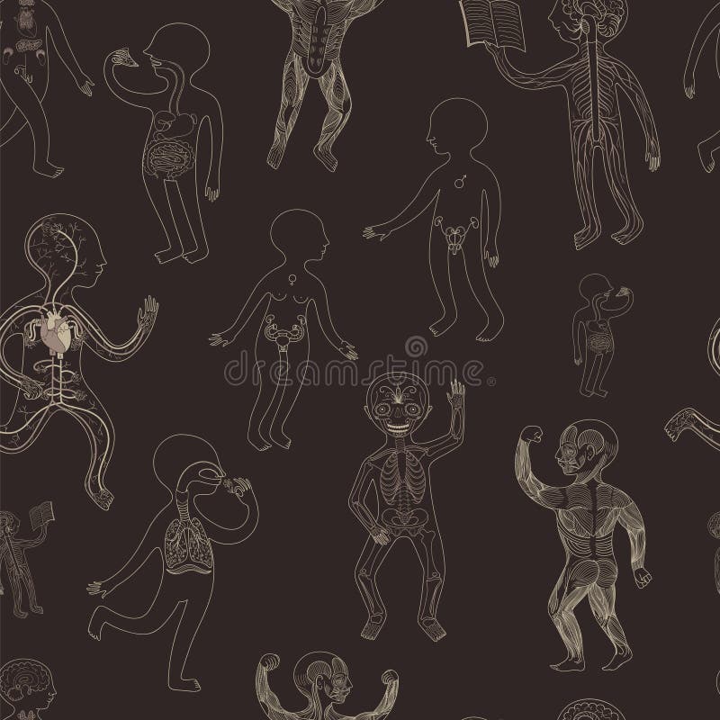 Vector Seamless Pattern with Contour Illustration of Human Anatomy ...