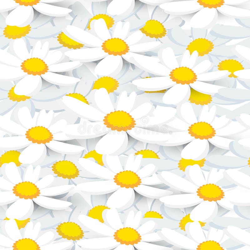 Vector Seamless Pattern with Cute Daisies Background Stock Vector ...