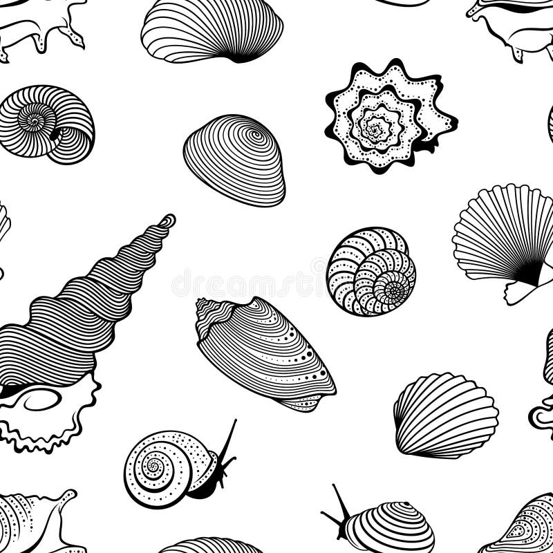 Detailed Shells Stock Illustrations – 173 Detailed Shells Stock ...