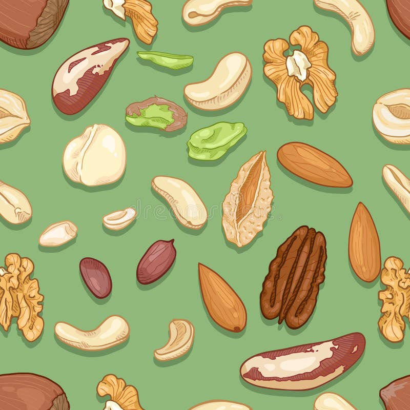 Vector Seamless Pattern of Different Nuts Stock Vector - Illustration ...