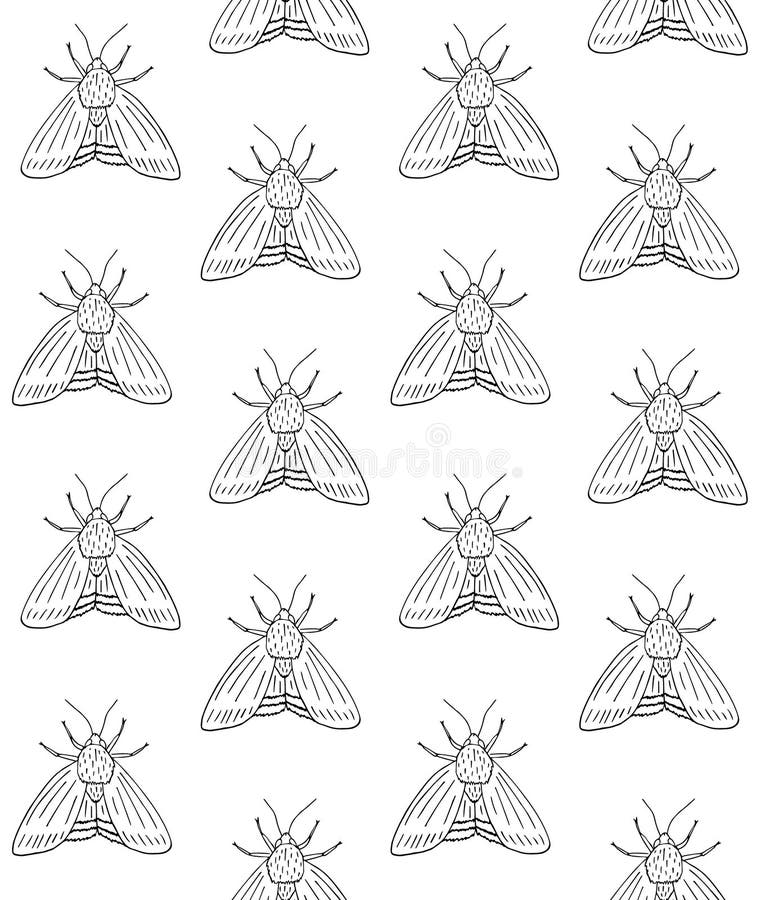 Vector Seamless Pattern of Doodle Sketch Moth Stock Illustration ...