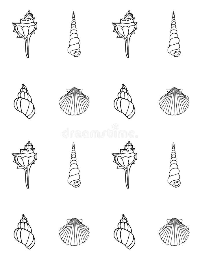 Sketch of a sea shell stock illustration. Illustration of sketch - 43007087