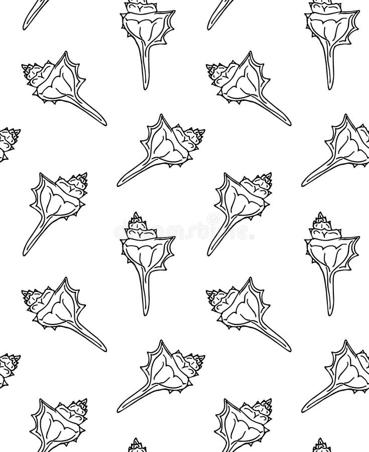 Sketch of a sea shell stock illustration. Illustration of sketch - 43007087