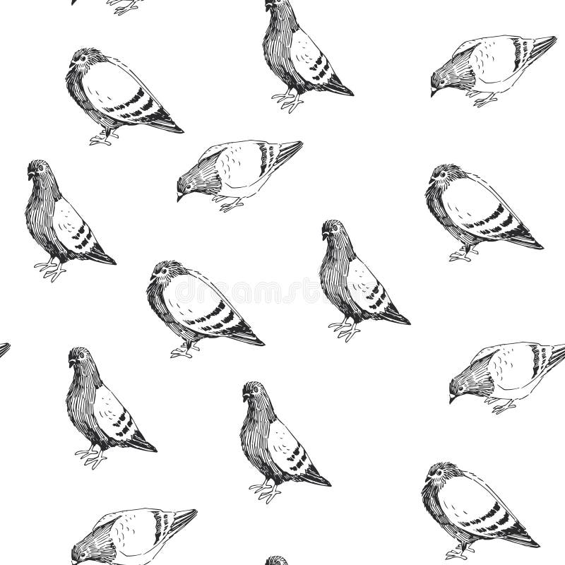 Vector Seamless Pattern with Doves Isolated on White. Hand Drawn ...