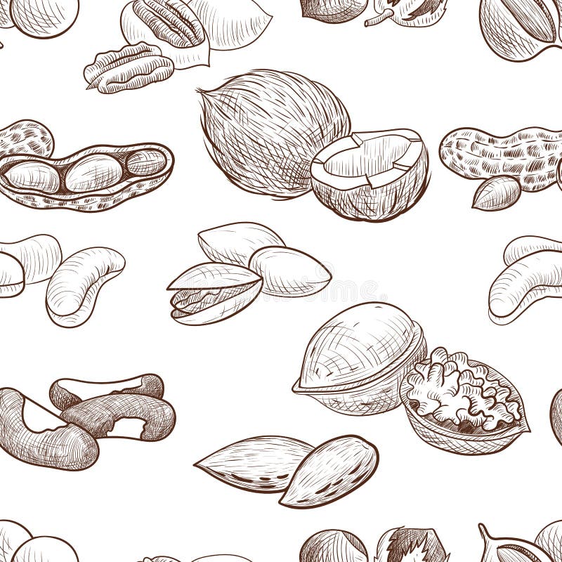 Vector Seamless Pattern with Drawing Nuts Stock Vector - Illustration ...