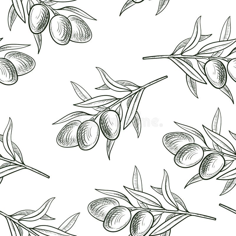 Vector Seamless Pattern with Drawing Olive Branch Stock Vector ...