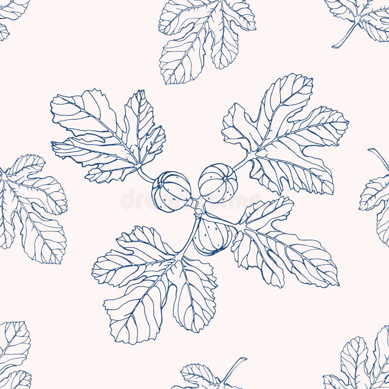 Vector Seamless Pattern with Figs. Hand Drawn Textures Stock Vector ...