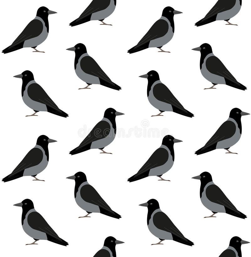 Vector Seamless Pattern of Flat Hand Drawn Crow Stock Illustration ...