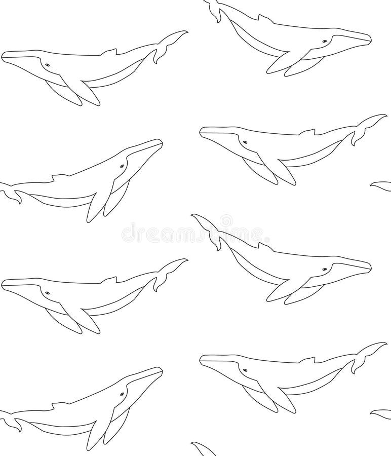 Vector Seamless Pattern of Flat Humpback Whale Stock Illustration ...