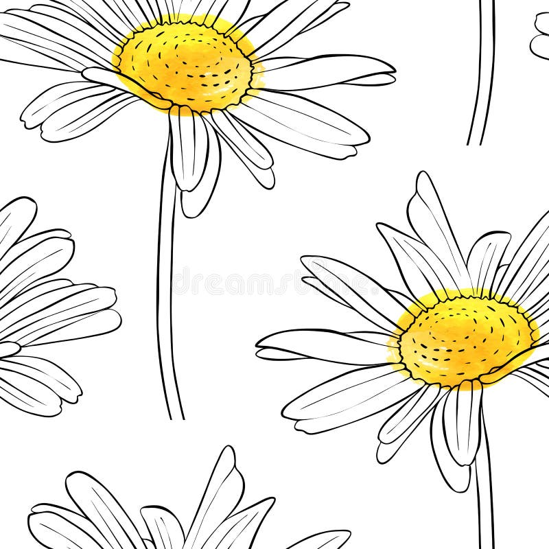 Daisy Pattern Vector Stock Illustrations – 48,616 Daisy Pattern Vector ...