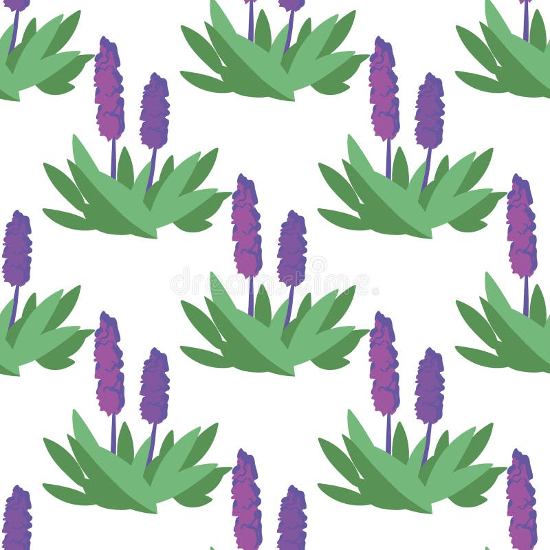 Vector Seamless Pattern with Flowers Violet Color on White Stock Vector ...