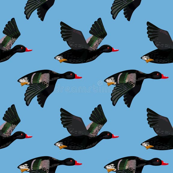 Vector Seamless Pattern with Flying Black Ducks Stock Vector ...