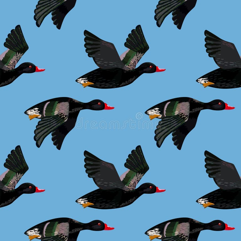Vector Seamless Pattern with Flying Black Ducks Stock Vector ...