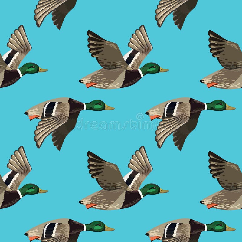 Flying ducks stock illustration. Illustration of bryce, shine - 22248
