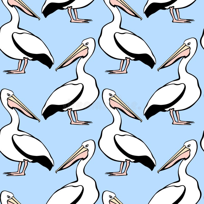 Pelicans seamless pattern stock vector. Illustration of ocean - 99907877