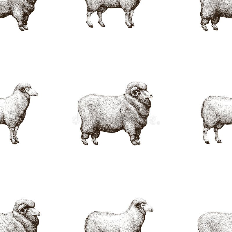 Vector Seamless Pattern with Graphical Sheep Silhouettes, Retro Hand ...