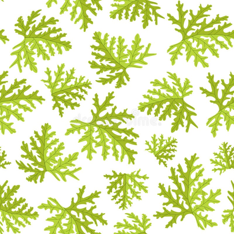 Vector Seamless Pattern of Green Leaves. Image of Summer Botany Stock ...