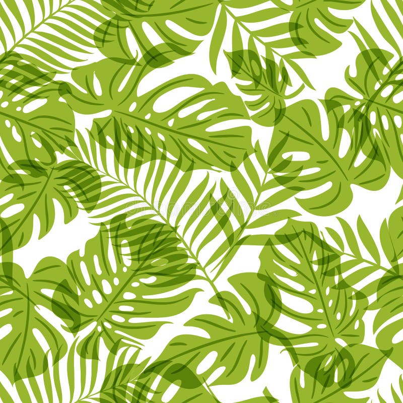 Green Palm Tree Leaves On Black And White Geometric Background Vector
