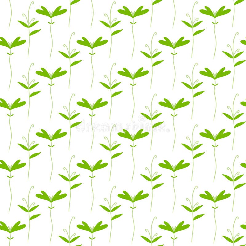 Vector Seamless Pattern with Greenery. Stock Vector - Illustration of ...