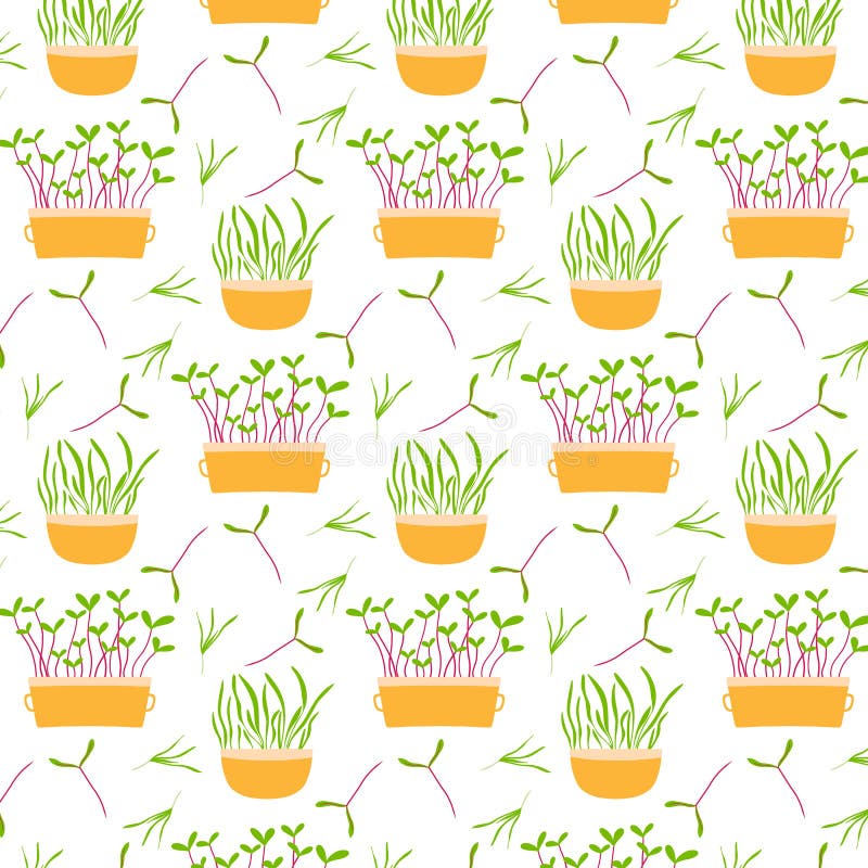 Vector Seamless Pattern with Greenery. Stock Vector - Illustration of ...