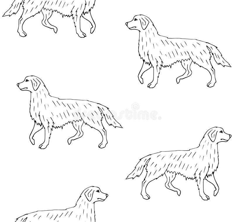 Labrador Retriever Hunting Sketch Stock Illustrations – 140 Labrador ...