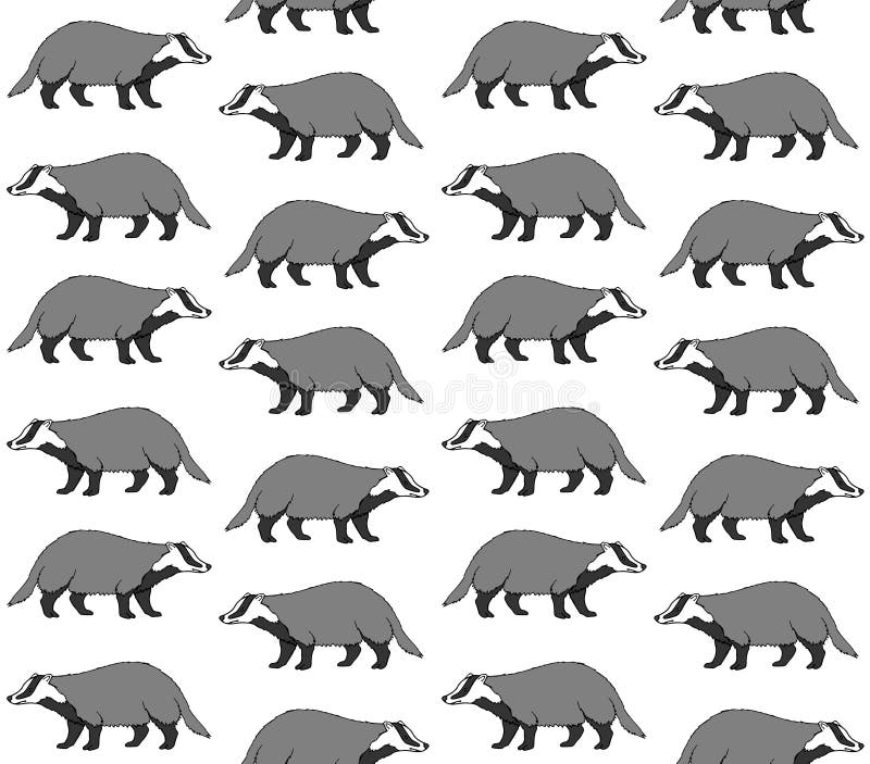 Vector Seamless Pattern of Hand Drawn Badger Stock Vector ...