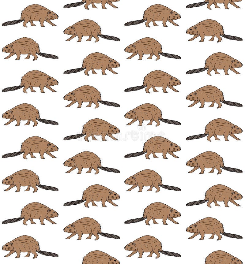 Vector Seamless Pattern of Hand Drawn Beaver Stock Vector ...