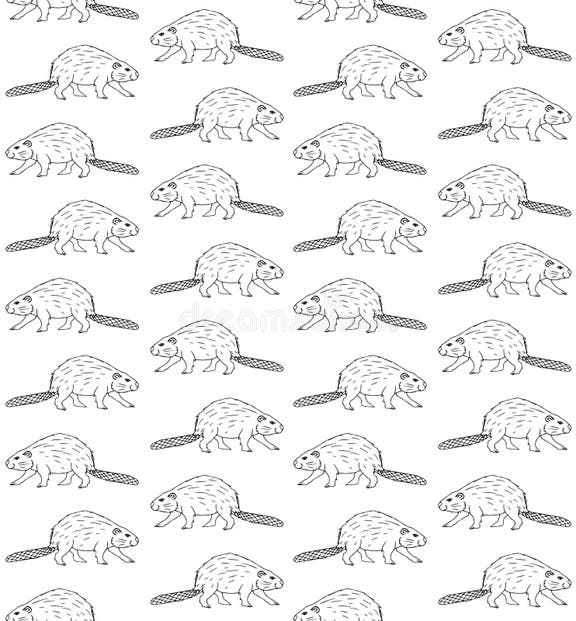 Vector Seamless Pattern of Hand Drawn Beaver Stock Vector ...
