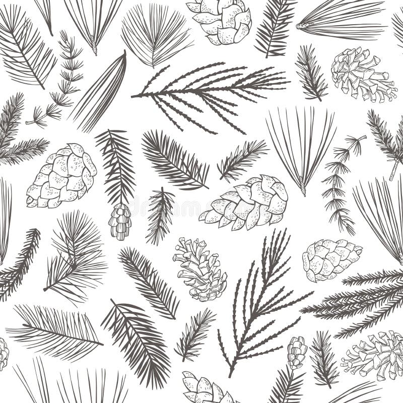 Vector Pattern with Branches and Cones of Coniferous Trees. Stock ...